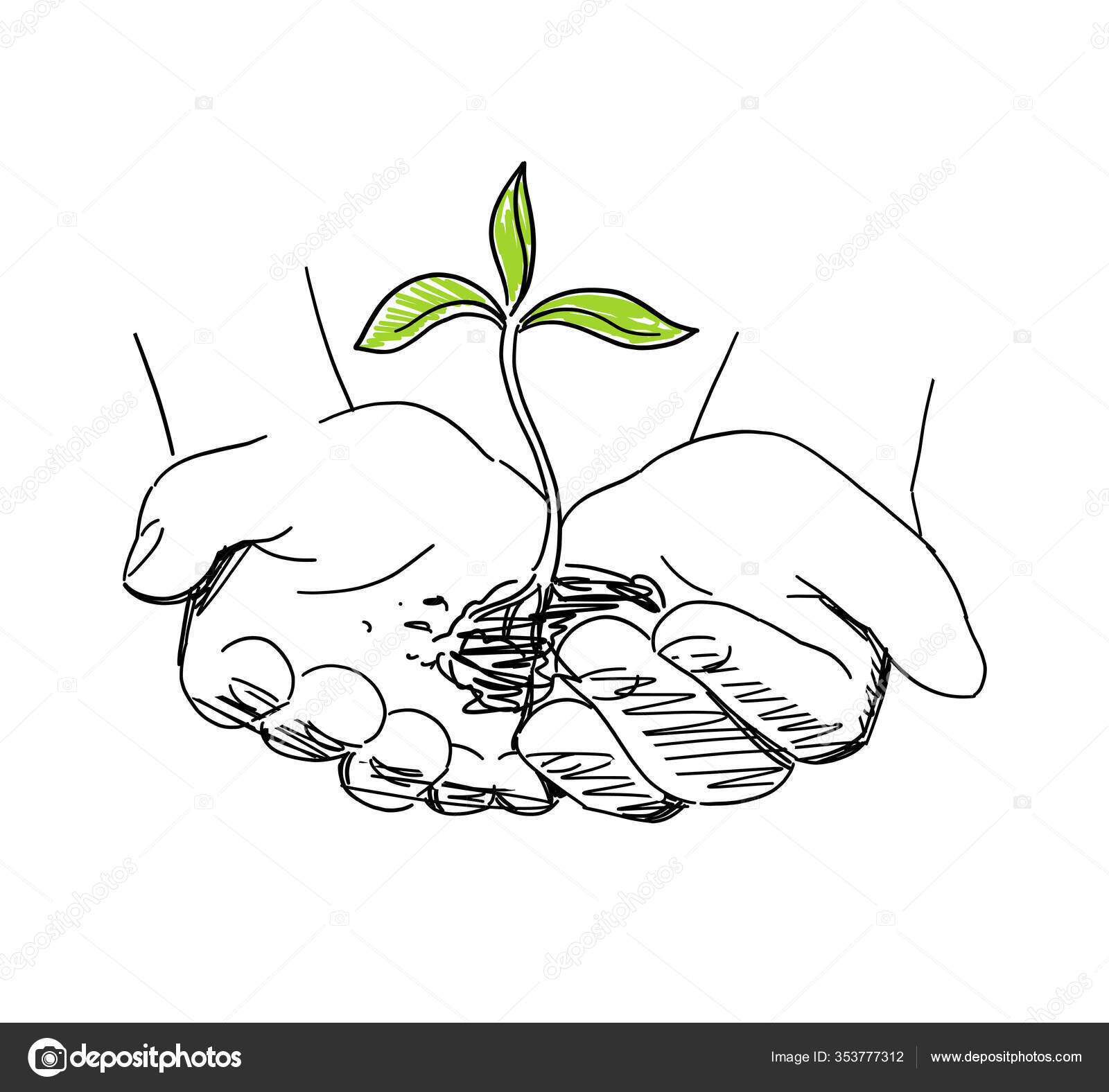 Seedling In Hand Clipart
