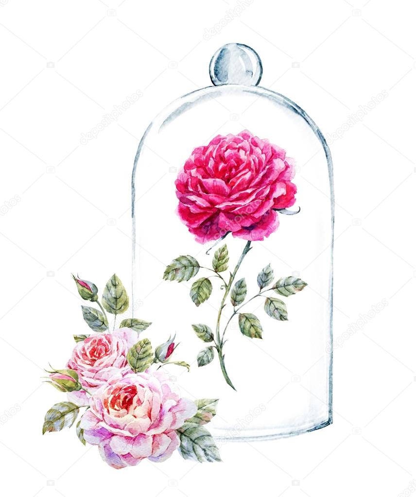 Rose in a glass case — Stock Photo © ZeninaAsya #124924260