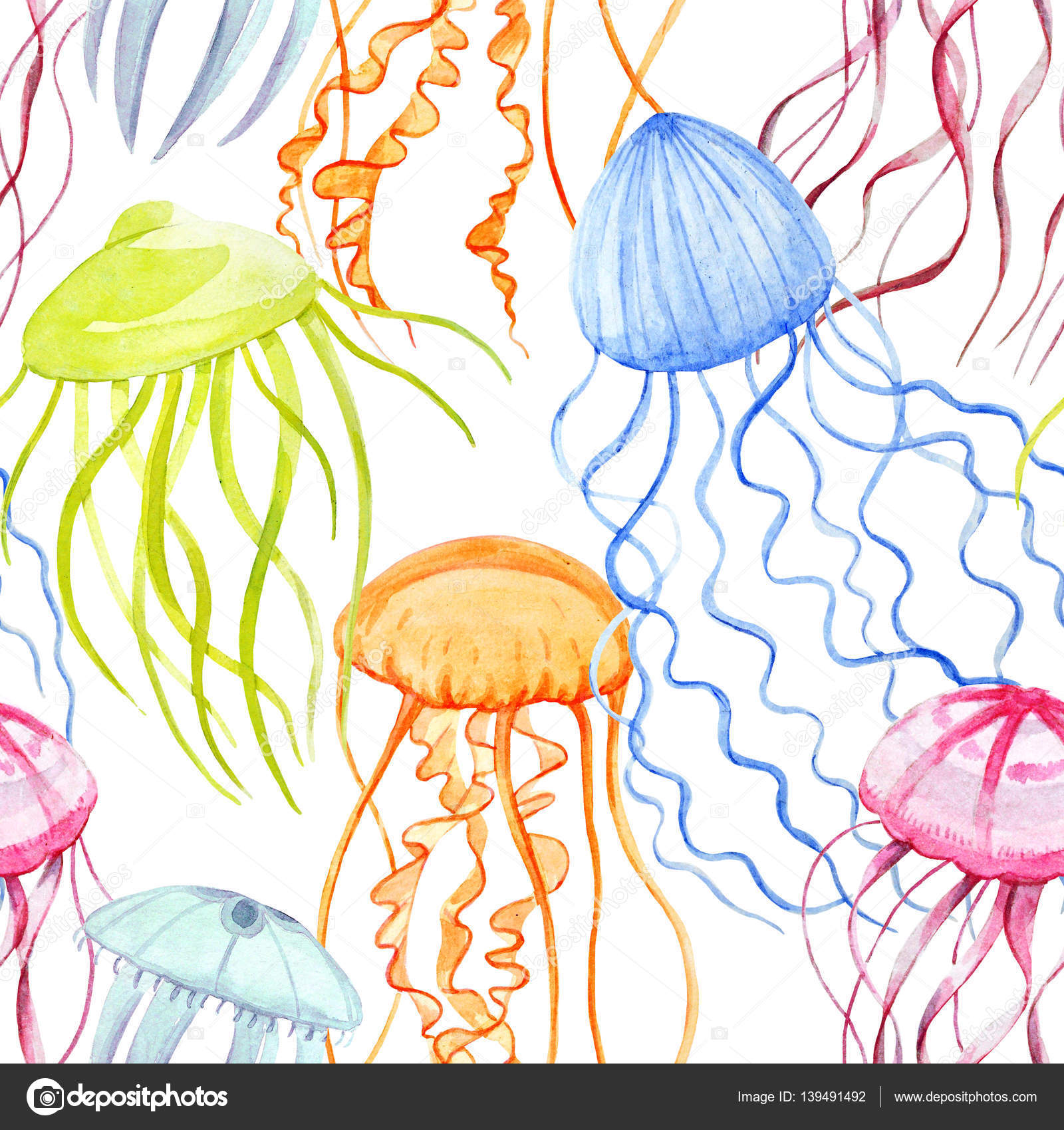 Fotografering Av Maneter