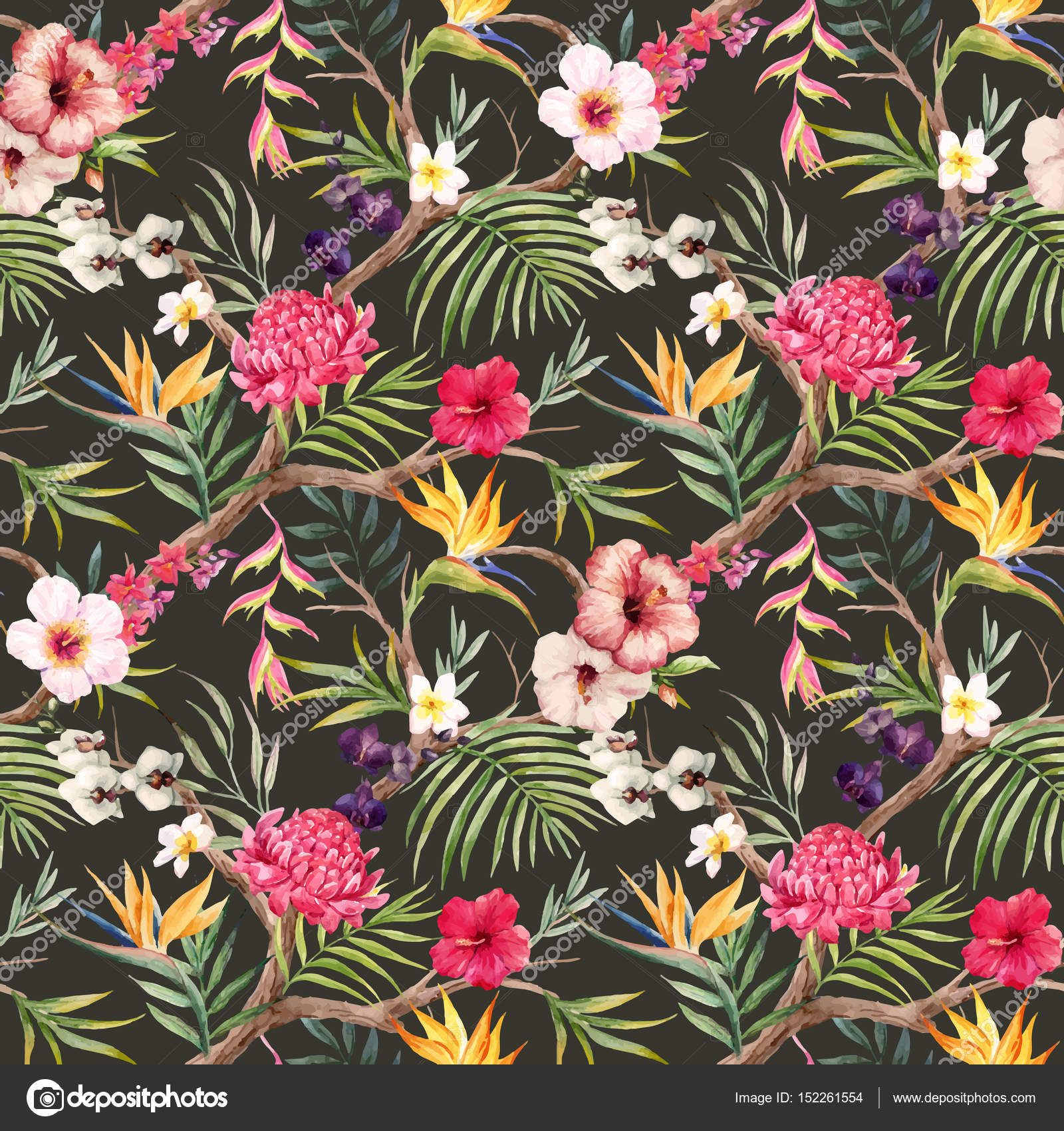 Watercolor Vector Tropical Floral Pattern Stock Illustration By