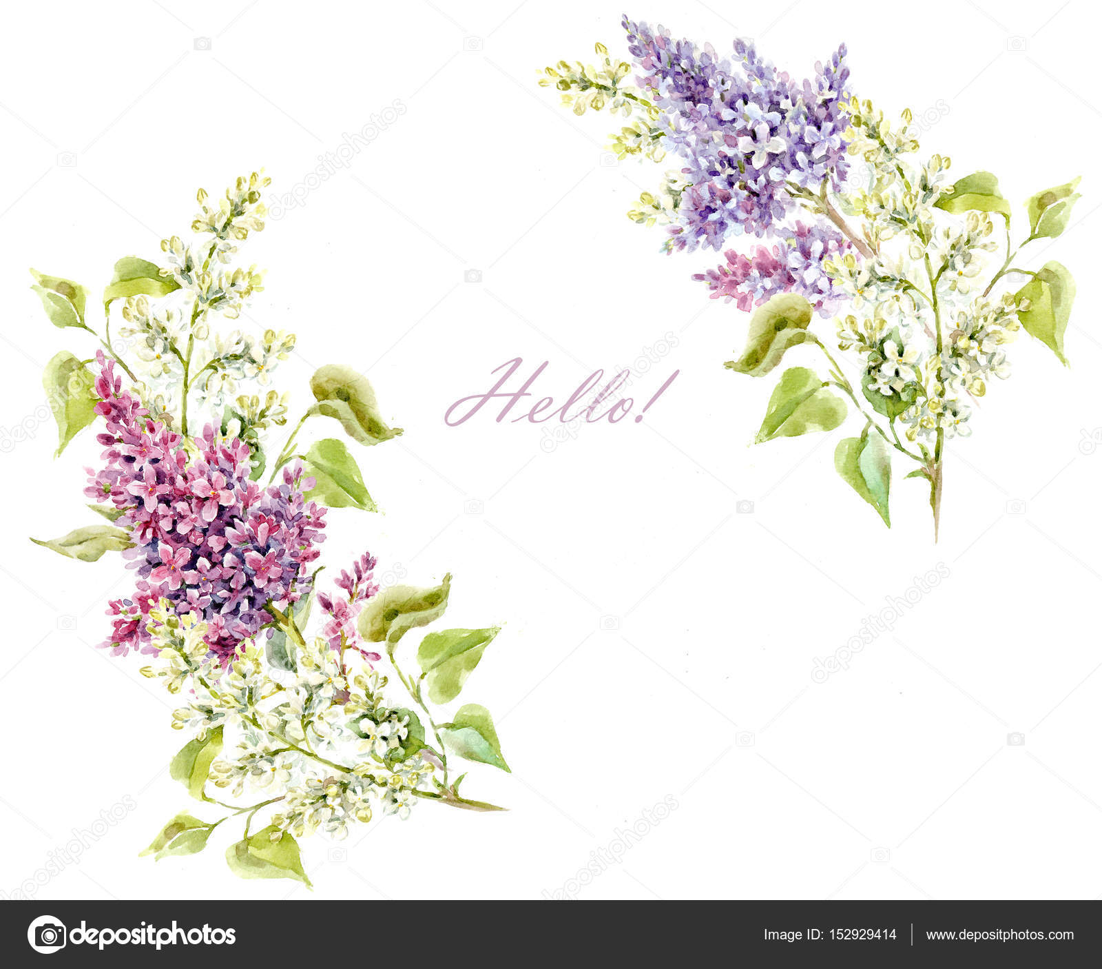 Watercolor lilac floral frame Stock Photo by ©ZeninaAsya 152929414