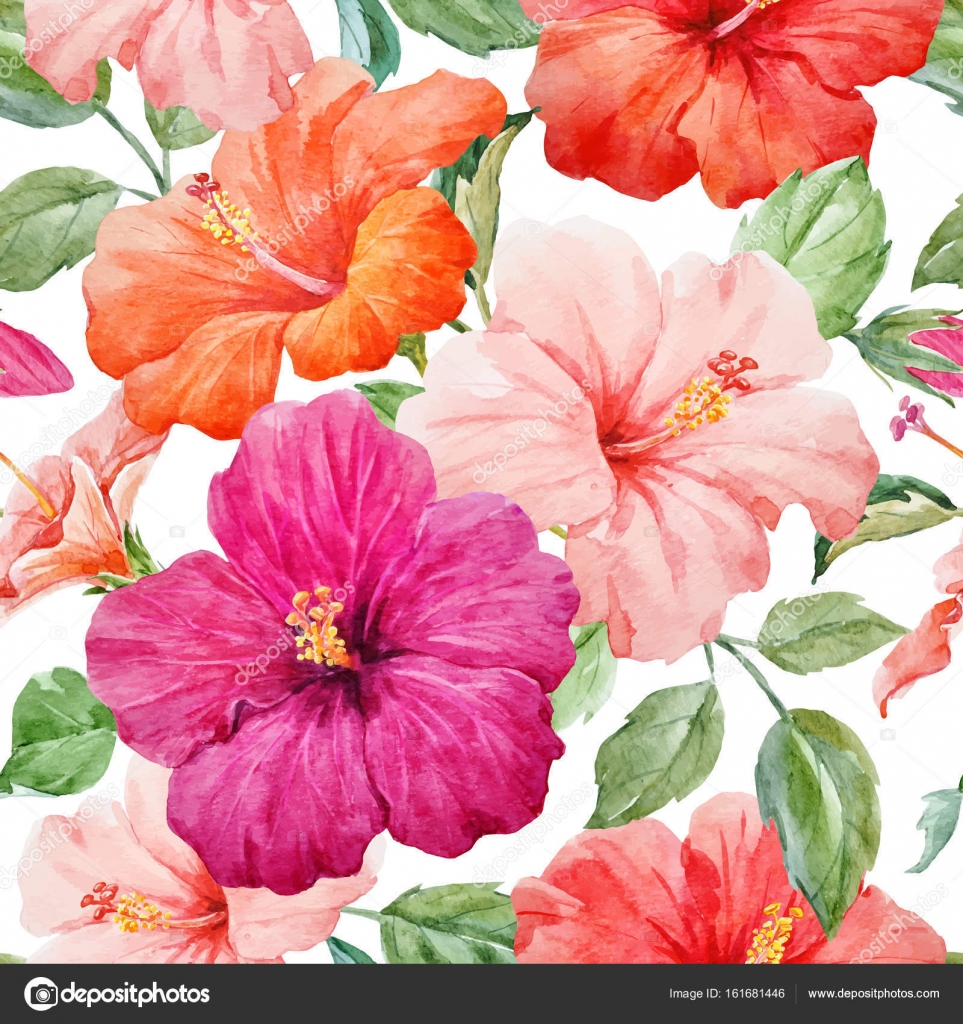 Watercolor Tropical Hibiscus Vector Pattern Stock Vector Image By