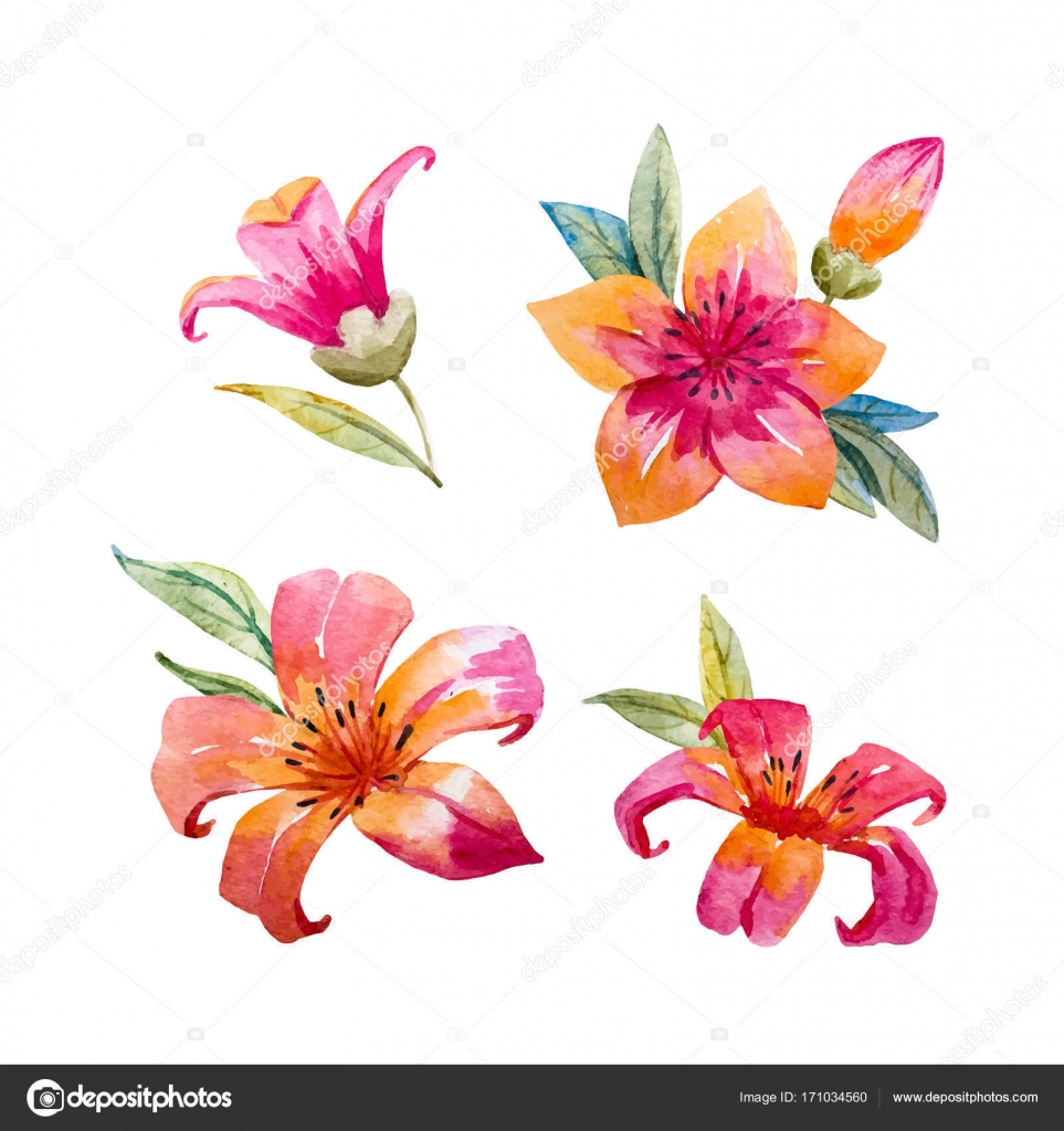 Watercolor floral vector set Stock Vector Image by ©ZeninaAsya #171034560