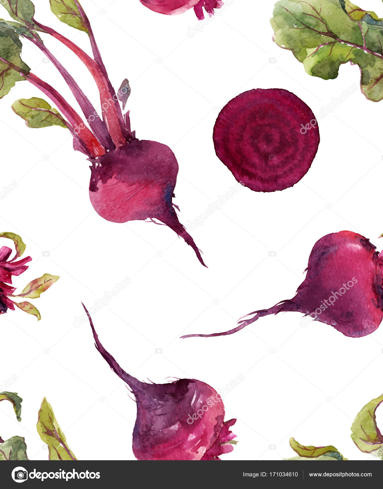 Watercolor beet vector pattern Stock Vector Image by ©ZeninaAsya #171034610