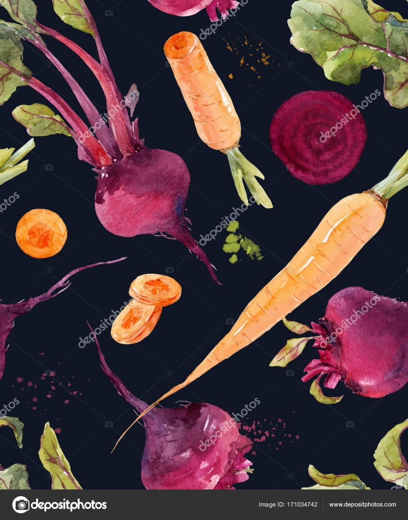 Patrón de vector de remolacha acuarela Vector de stock por ©ZeninaAsya ...