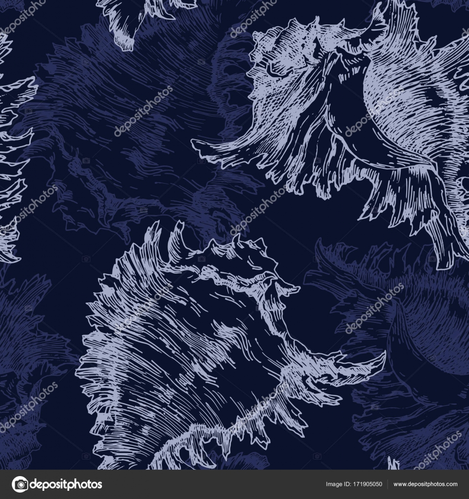 Vector sea shell pattern Stock Vector Image by ©ZeninaAsya #171905050