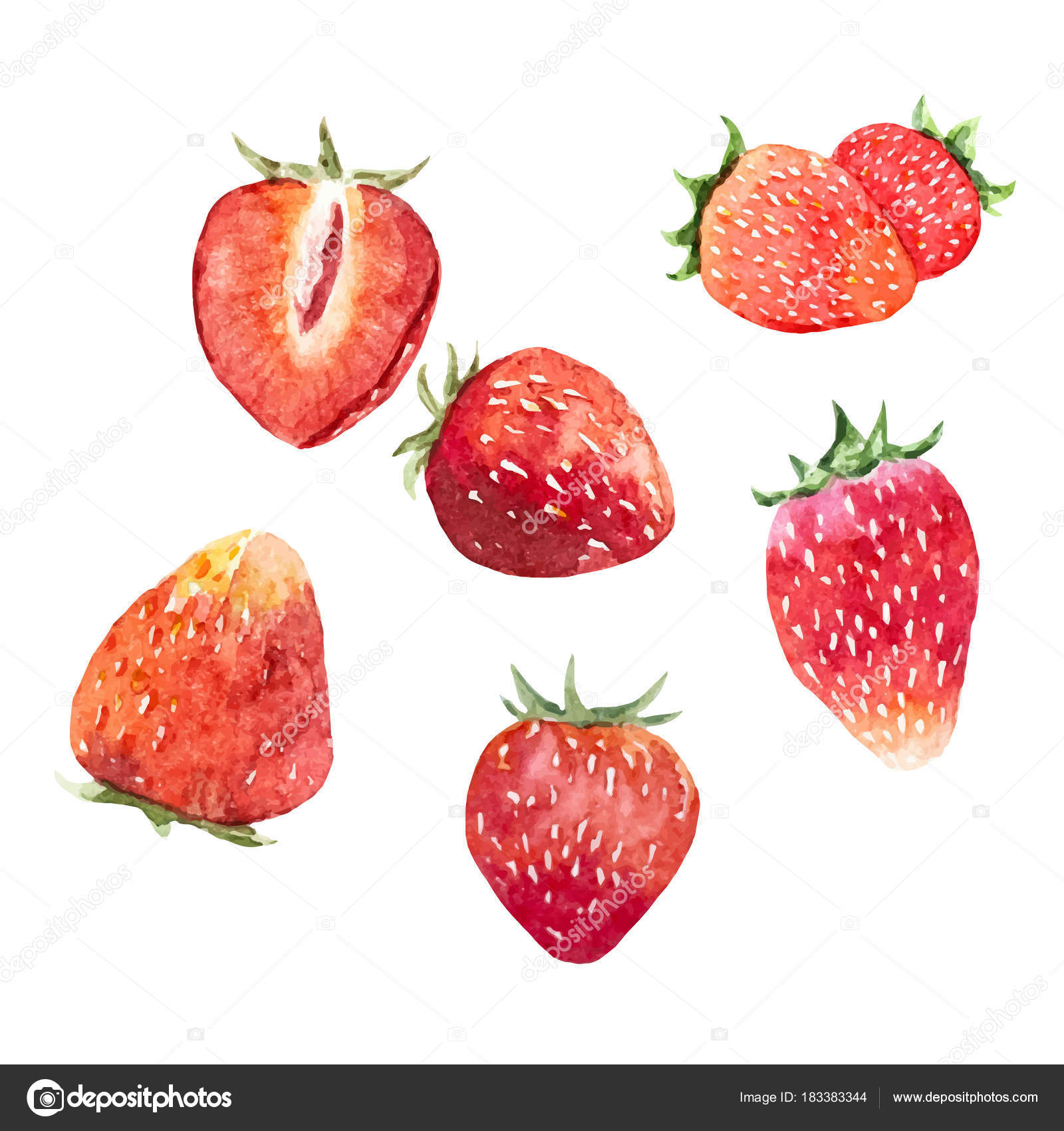 Conjunto de vectores de fresa acuarela Vector de stock por ©ZeninaAsya ...