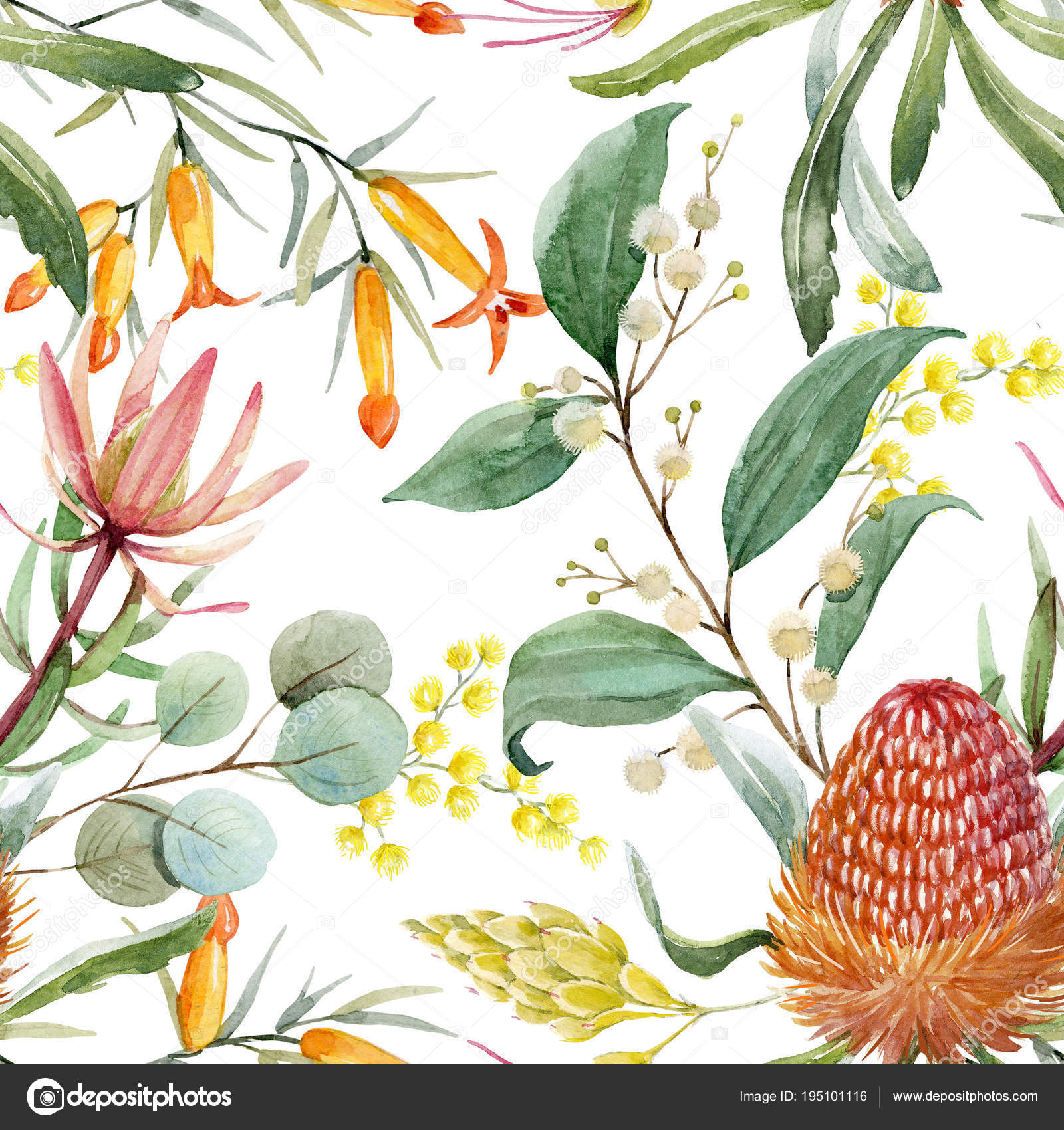 Watercolor australian banksia floral pattern — Stock Photo © ZeninaAsya ...