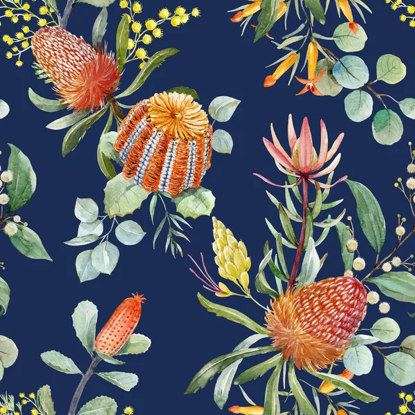 Watercolor australian banksia floral pattern — Stock Photo © ZeninaAsya ...