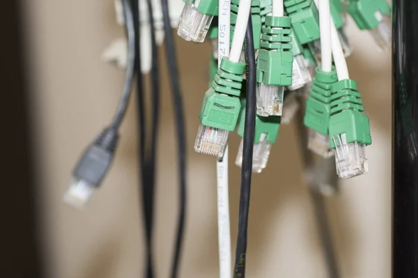 Ethernet Network Switch with ethernet cables - Stock Image - Everypixel