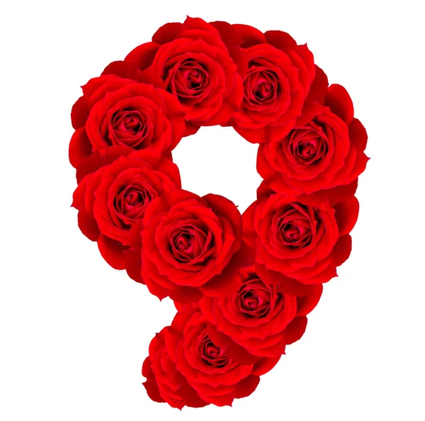 Red Roses numbers 1 made from bloom red rose isolated on white ...