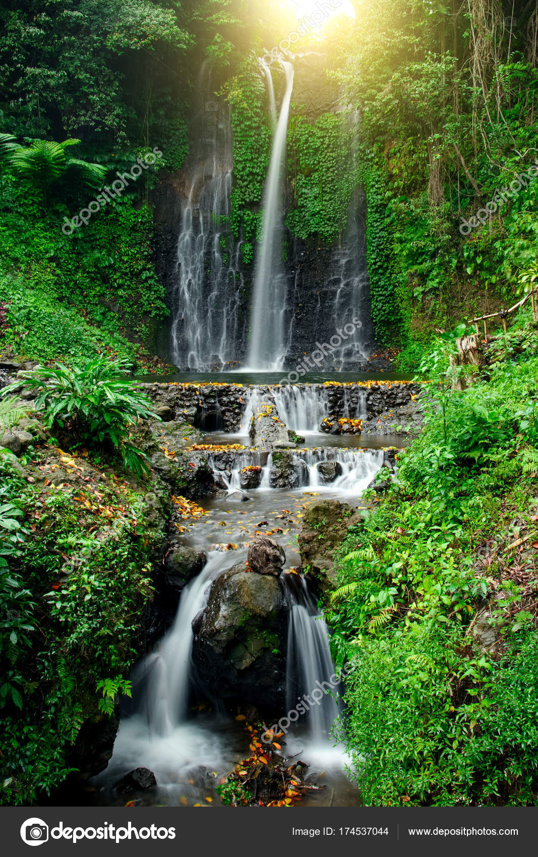 Beautiful Green Forest Wallpaper