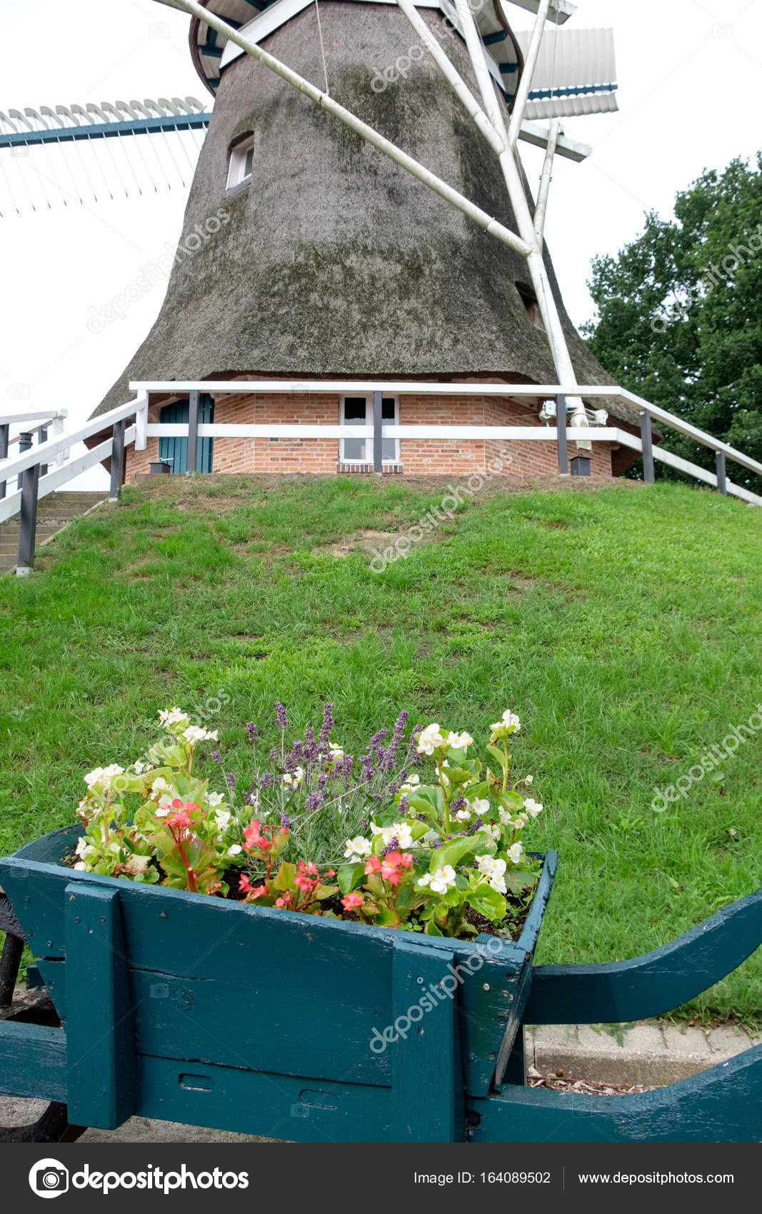 Eastern frisia in germany — Stock Photo © sippel #164089502
