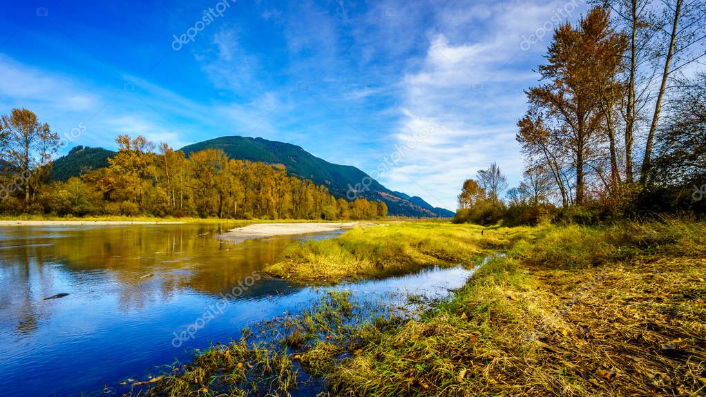 Colores de otoño alrededor de Nicomen Slough, una rama del río Fraser ...