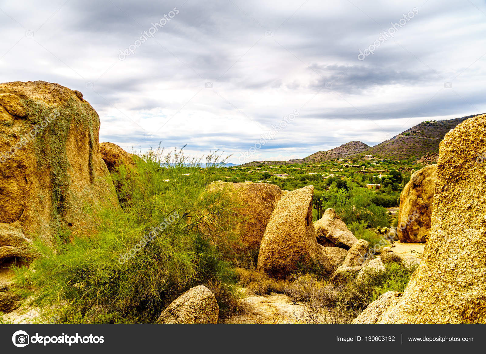 Large Rocks and Boulders surrounded by Shrubs and Saguaro and Cholla ...