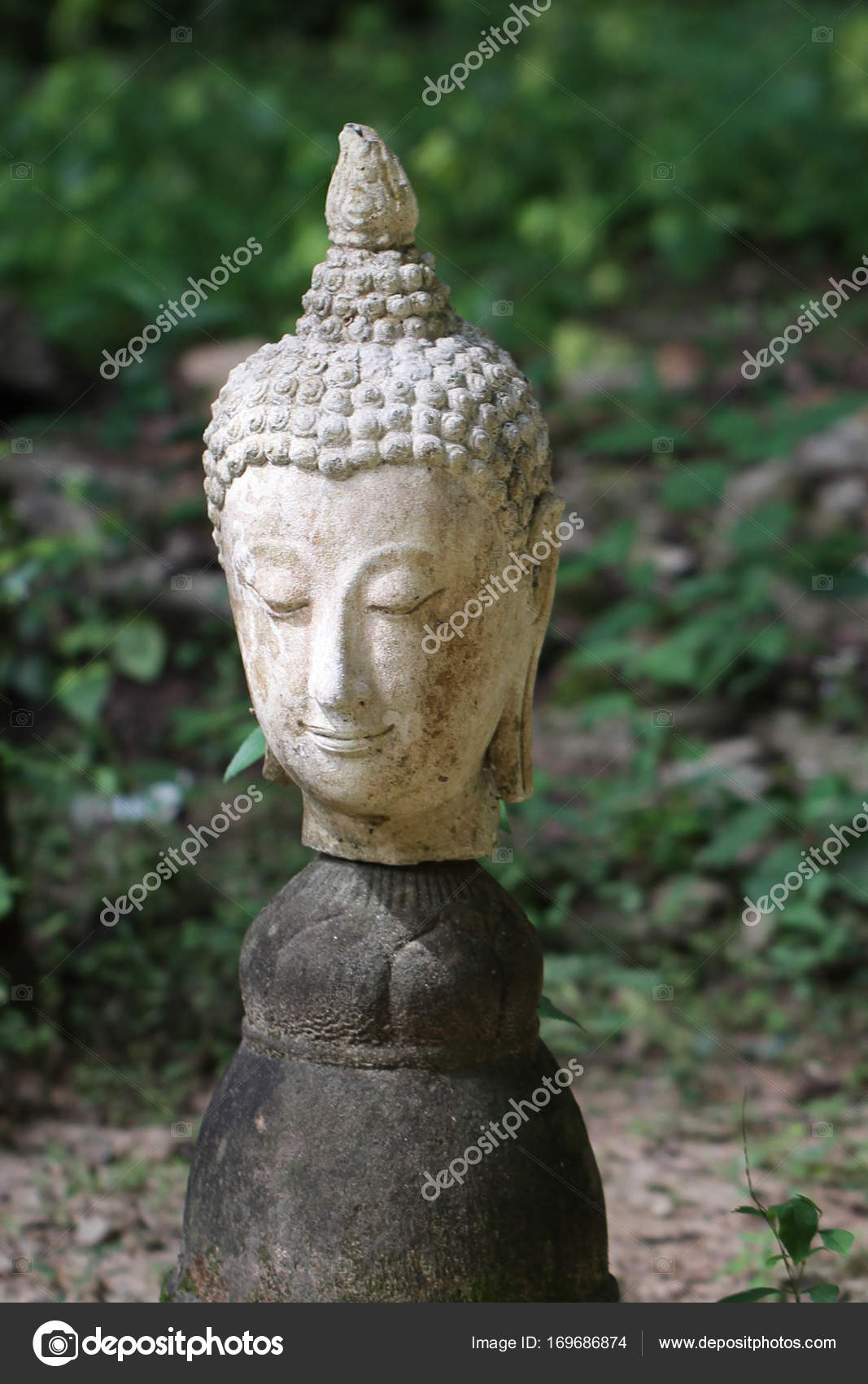 400 years old of ancient head stone buddha statue in the forest, art ...