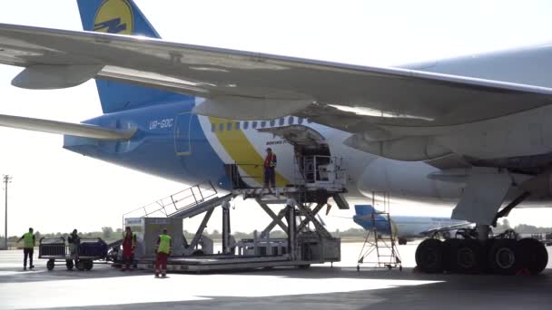 Airport Staff Loads Baggage Airplane — Stock Video © dmytro.drabyk ...