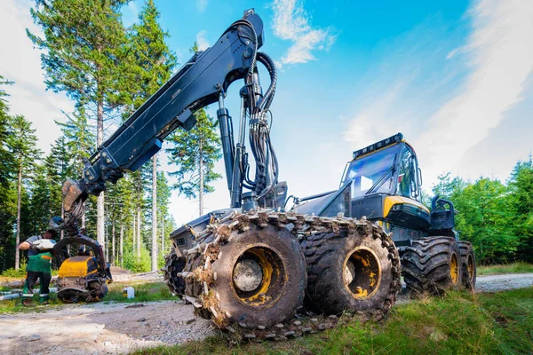 Forest cutting. Timber harvester ⬇ Stock Photo, Image by © bubutu ...