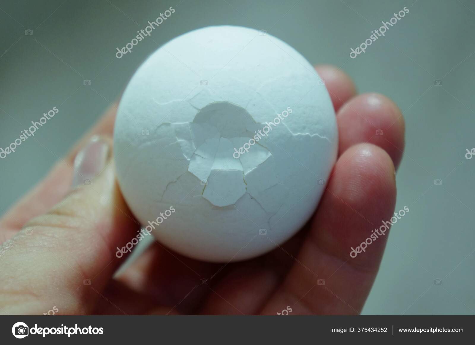Broken Boiled Egg Hand Cracked Shell — Stock Photo © 5day #375434252