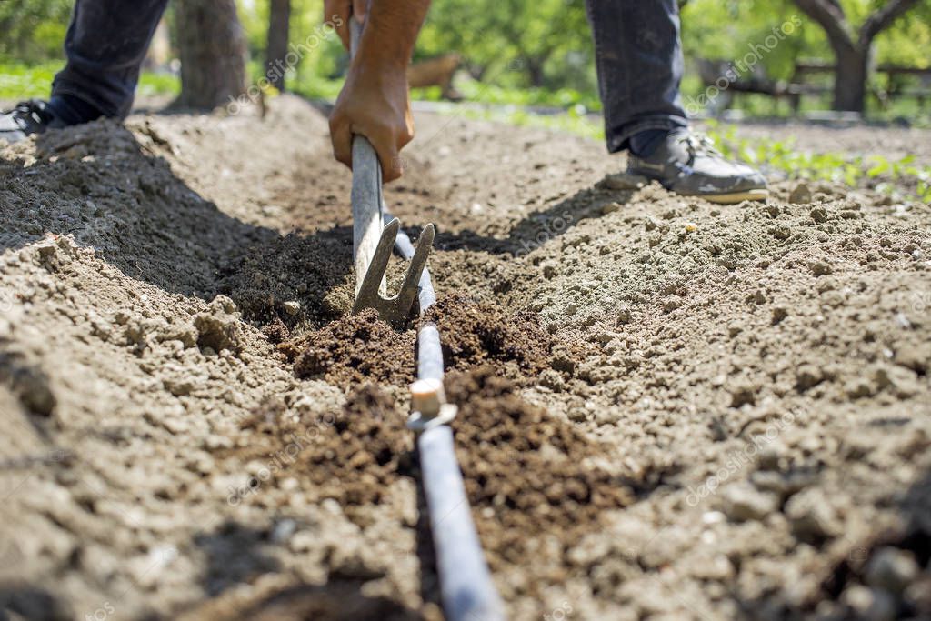 Hombre cavar tierra para plantar semillas con pico y manguera de riego ...