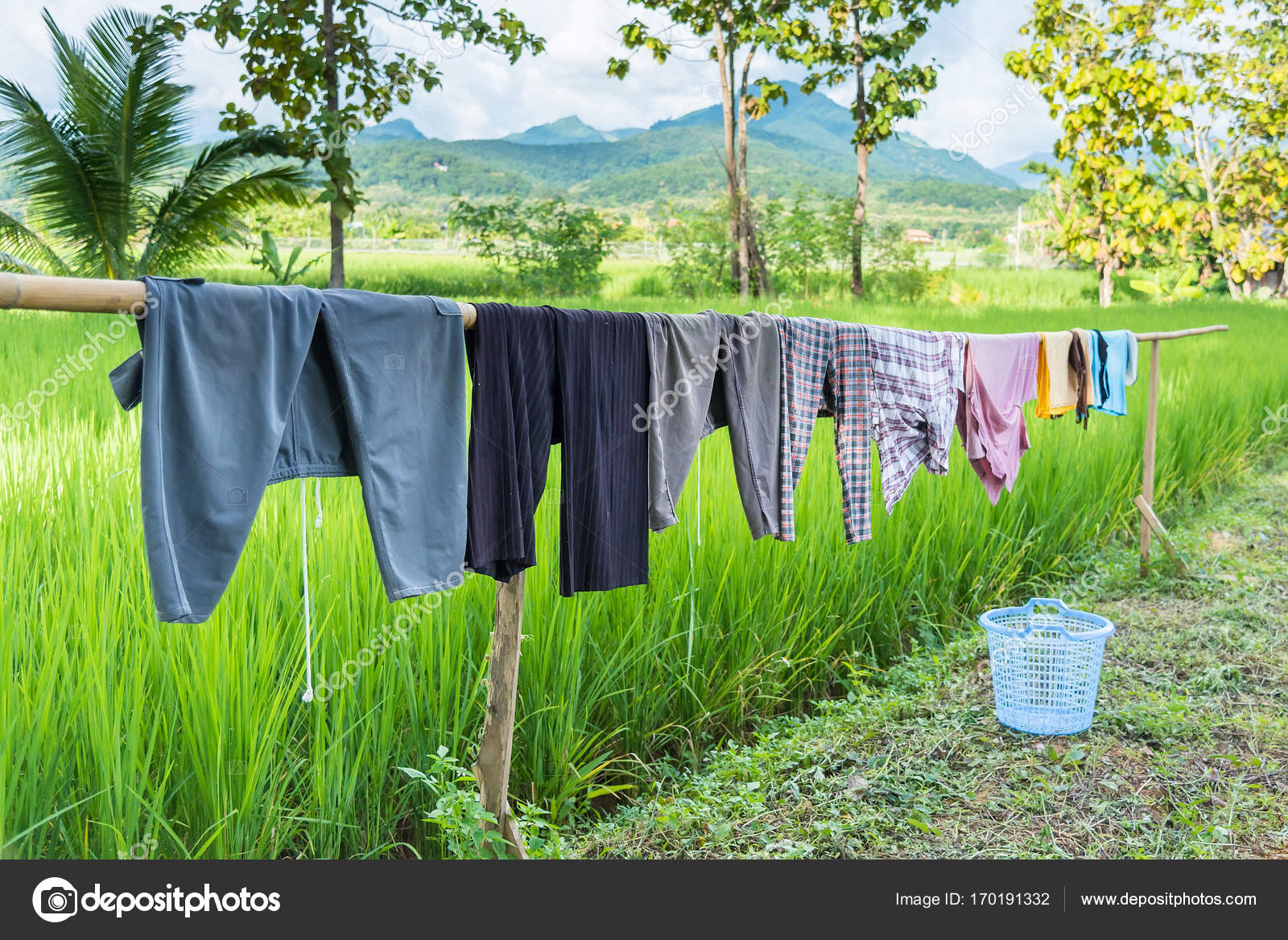 Wooden clothes line for dry clothes in the sun in paddy field.Th ...