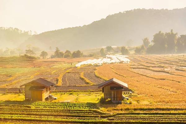 Plow fields in nepal Stock Photos, Royalty Free Plow fields in nepal ...