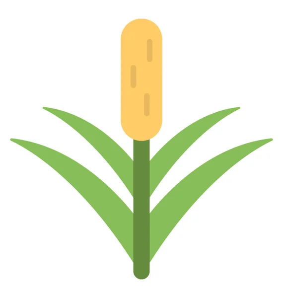 8,233,316 Crecer maiz vector Vector Images | Depositphotos