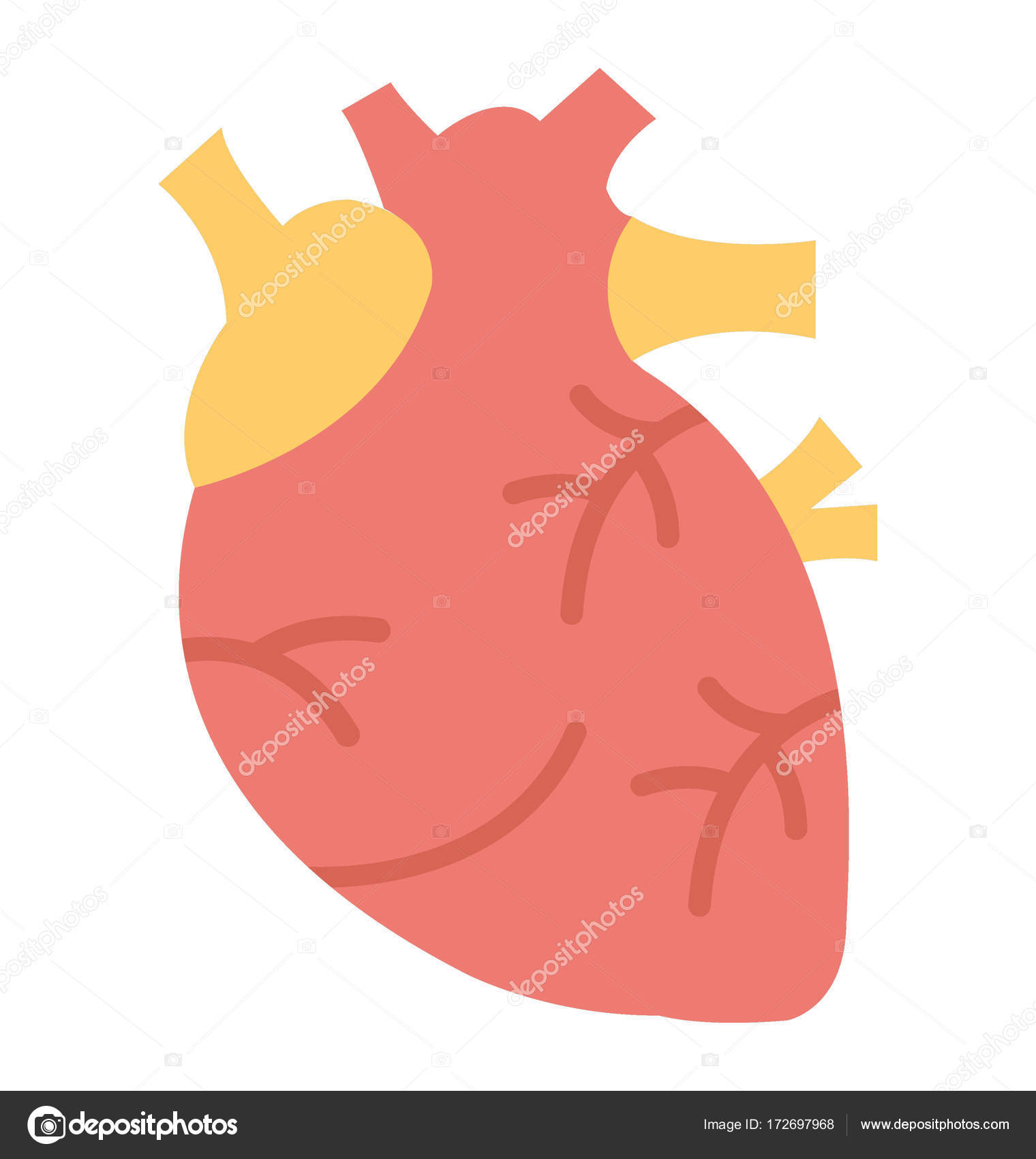 Human Heart Vector Icon Stock Vector Image by ©creativestall #172697968