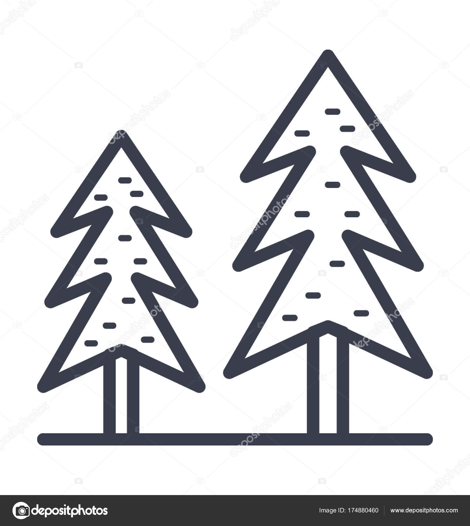 Evergreen Trees Vector Icon Nature Park Plant Tree Line Vector Stock ...