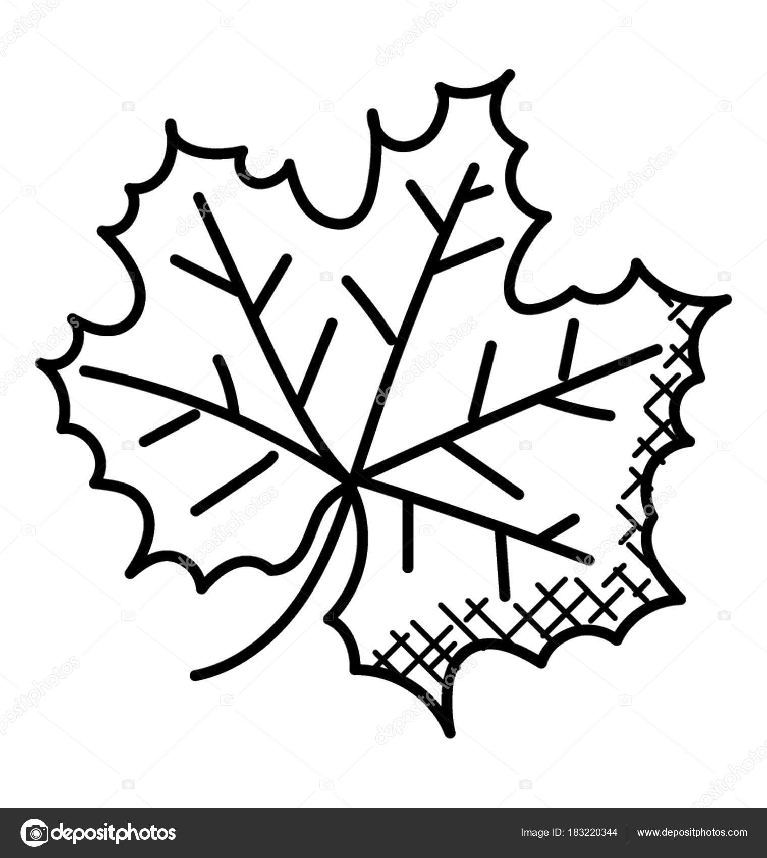 Vintage Looking Maple Leaf Doodle Icon Stock Vector Image by ...