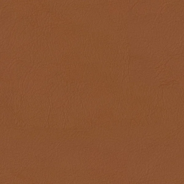 Tierra marron fotos de stock, imágenes de Tierra marron sin royalties ...