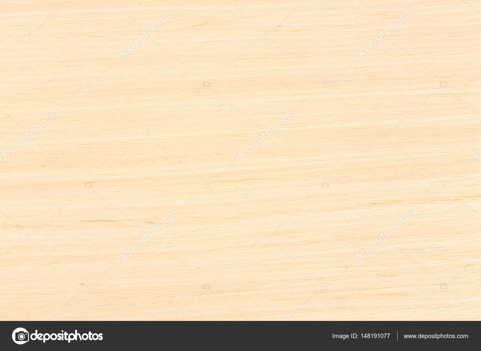 Ash Wood Texture