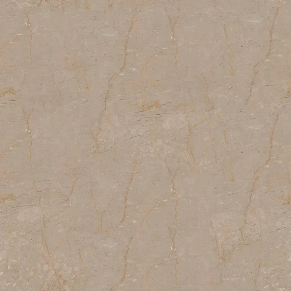 Beige square Images - Search Images on Everypixel