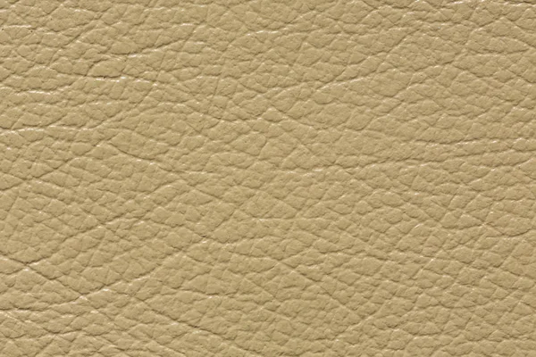 Beige leather texture Stock Photos, Royalty Free Beige leather texture ...