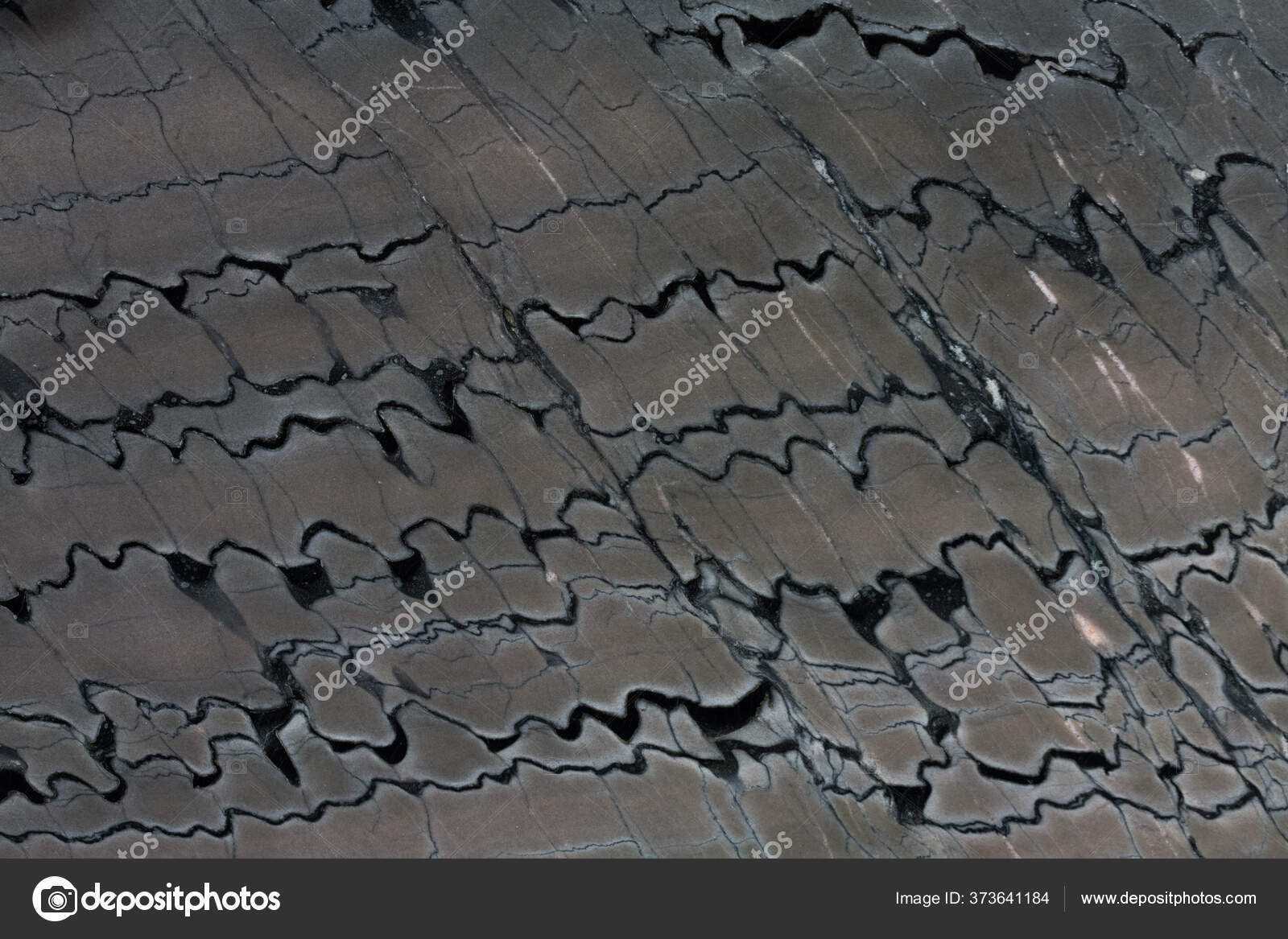 Grey quartzite stone texture close up. Seamless square background, tile ...