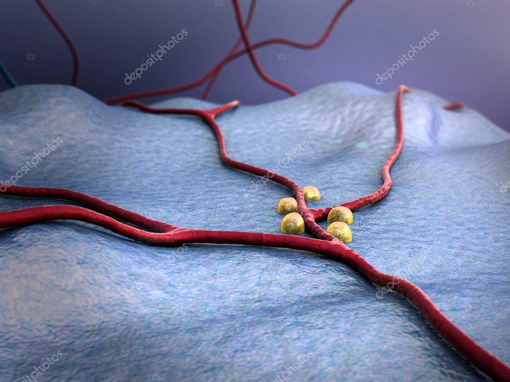 Beta cells on the pancreas surface Stock Photo by ©Ugreen 127067528
