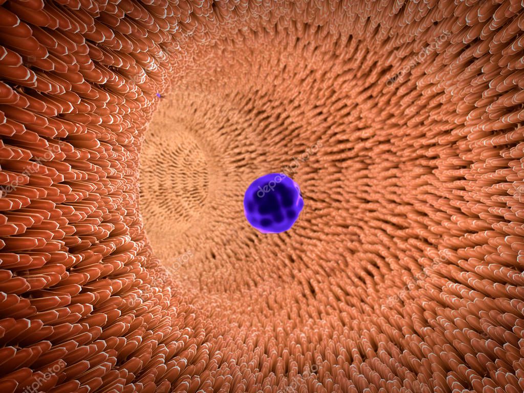 Fat cell in the blood — Stock Photo © Ugreen #130390848