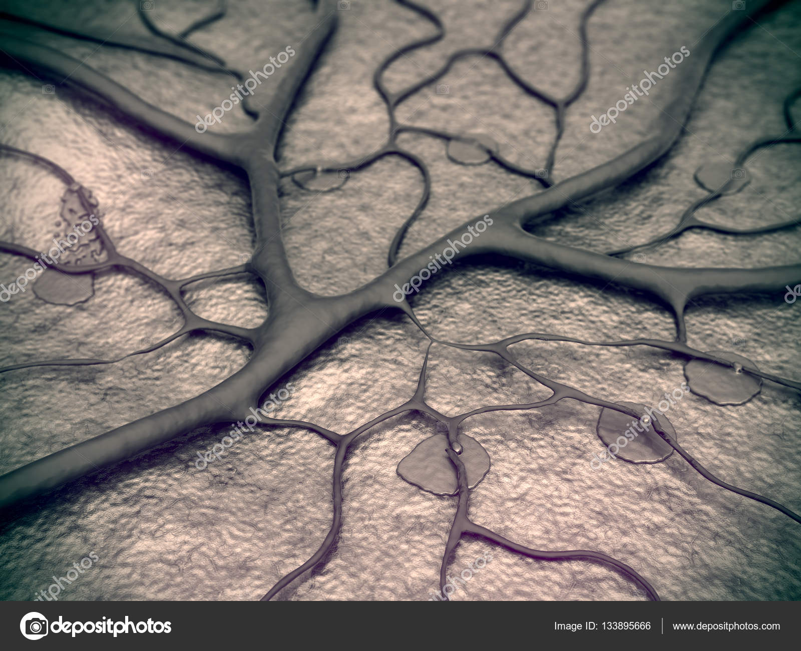 Capilares y células — Foto de stock #133895666 © Ugreen