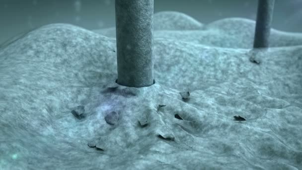 Dandruff Stock Videos, Royalty Free Dandruff Footages | Depositphotos®