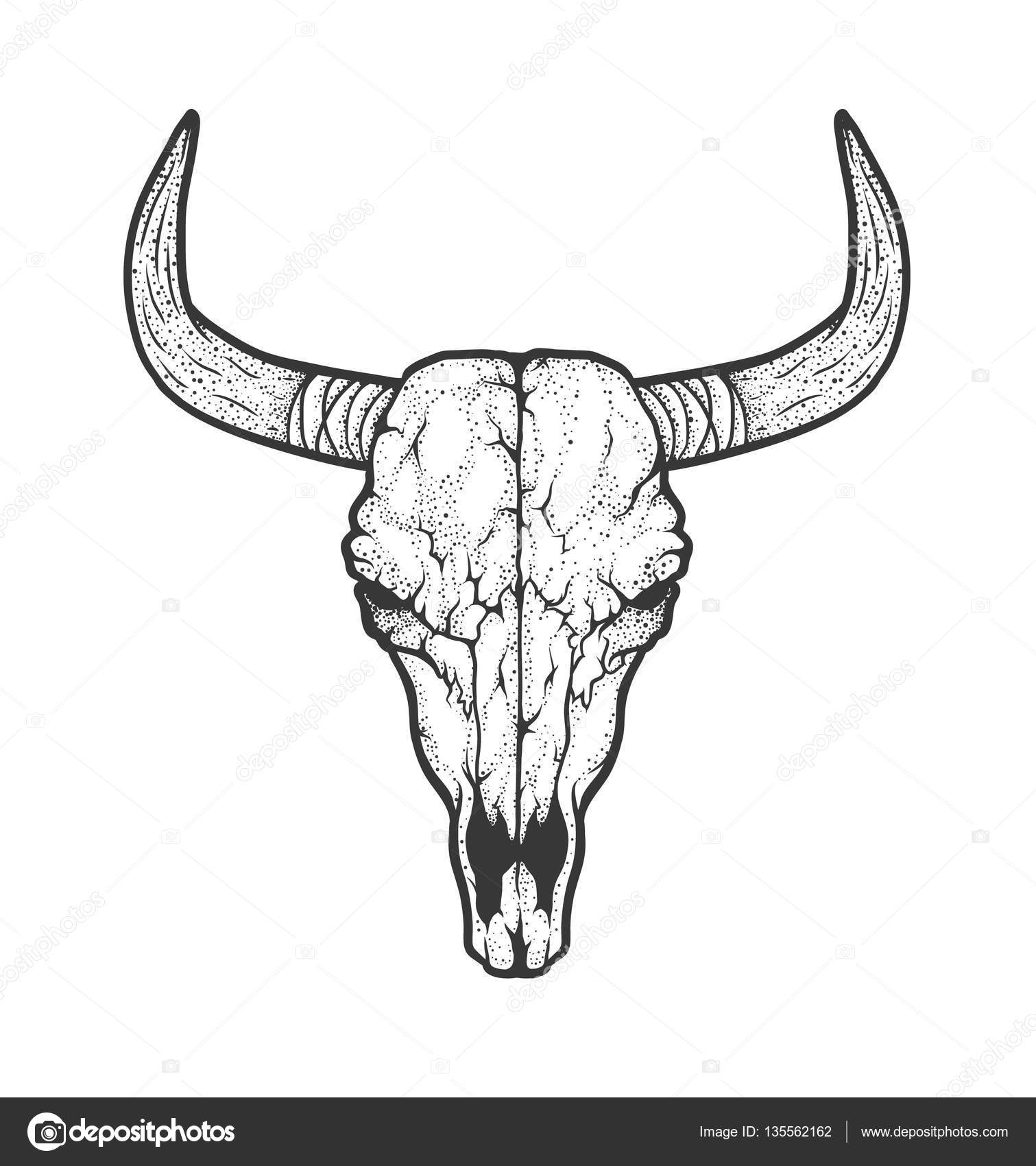 Bull Skull Line Drawing