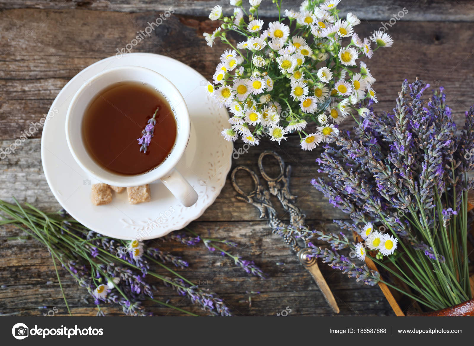 Aromatic lavender tea and wild chamomile — Stock Photo © photosimysia ...