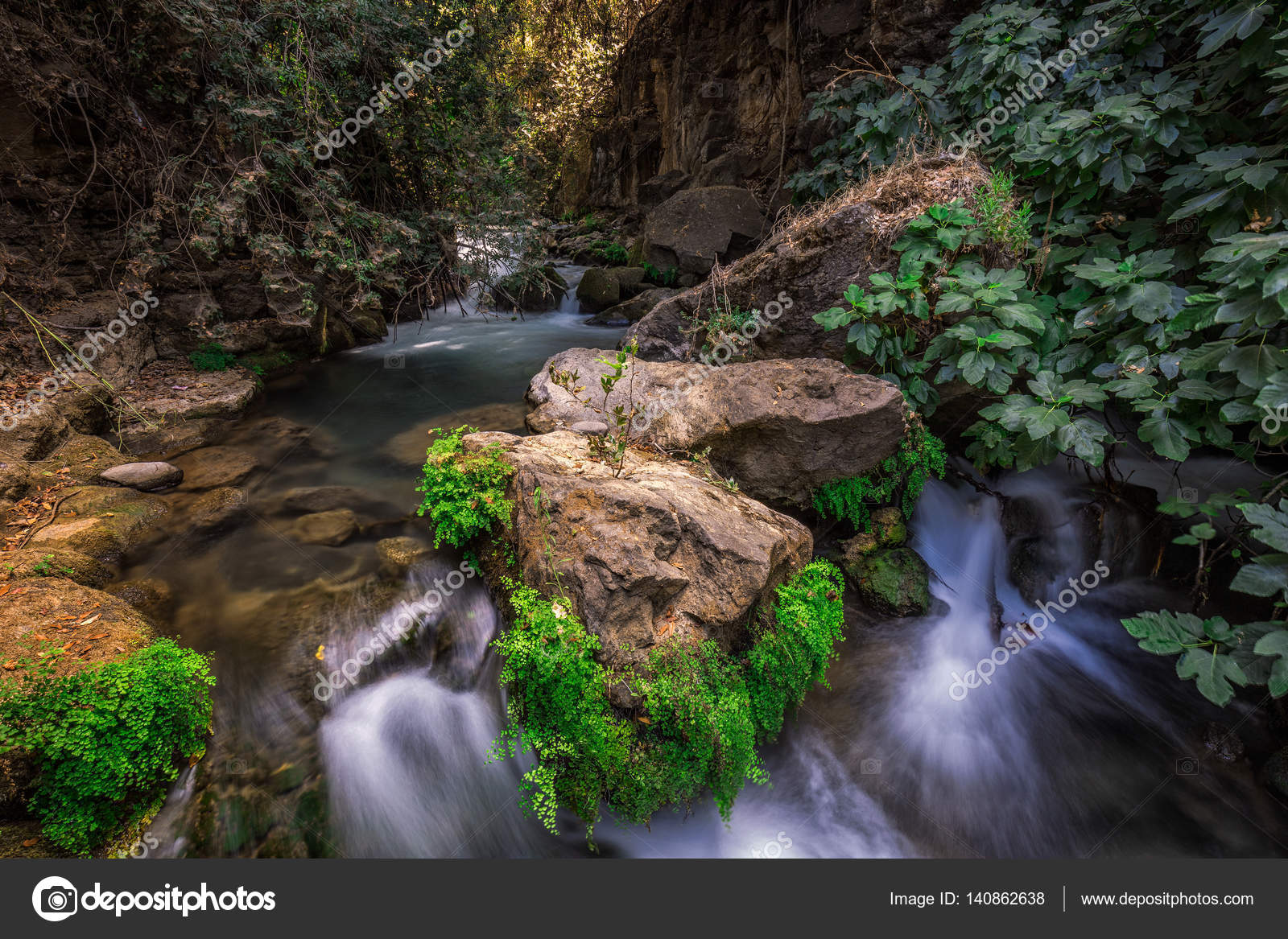 Banias river flow — Stock Photo © RuslanKal #140862638