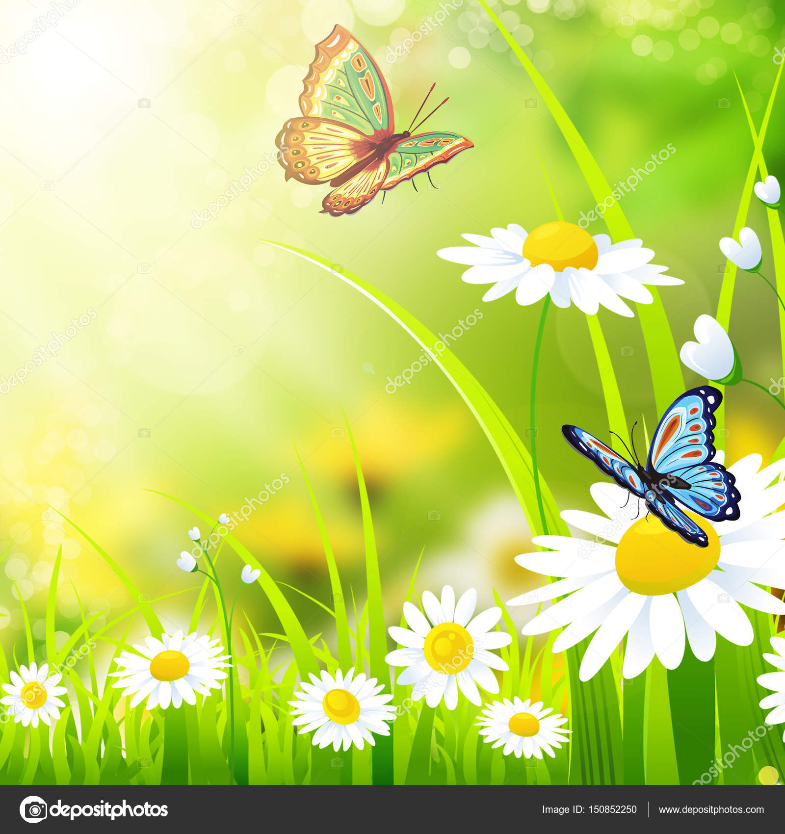 Spring Flowers And Butterflies Wallpaper