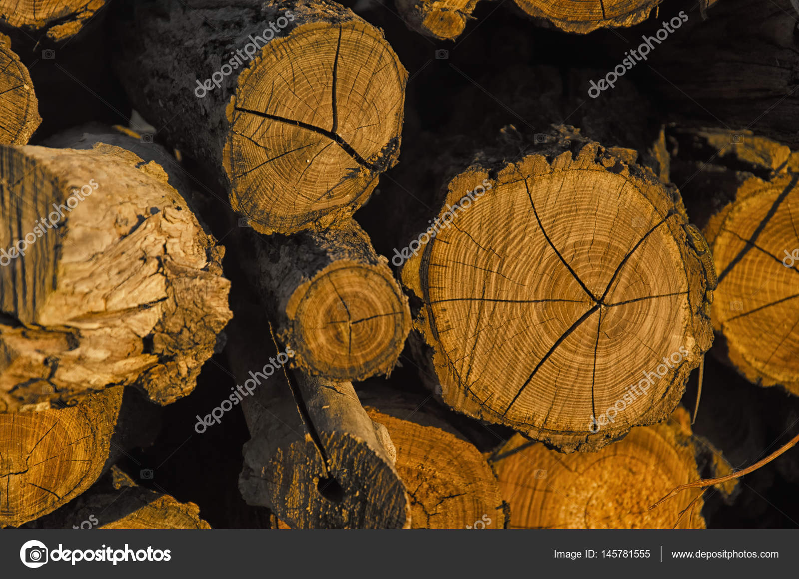 Tree stump at the sunset — Stock Photo © sephirot17 #145781555
