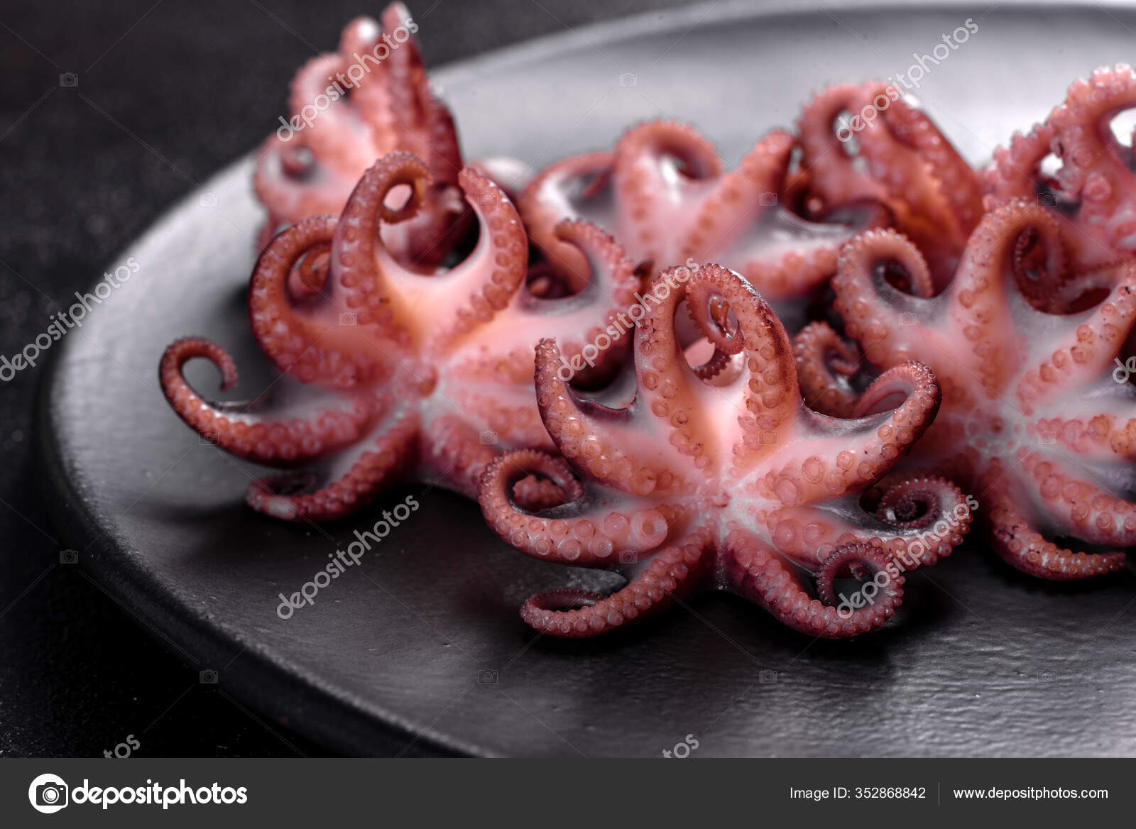 Baby Octopus Food