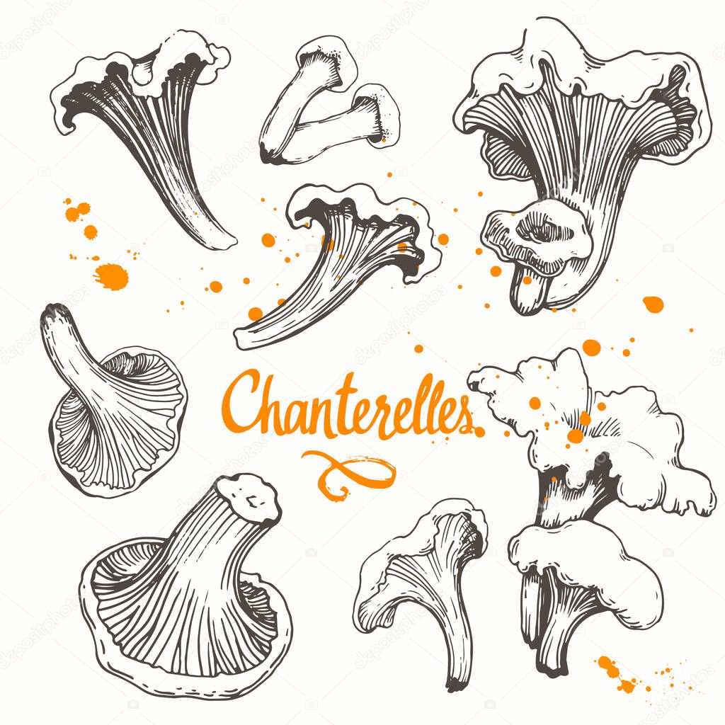 Ilustración vectorial con conjunto de setas en estilo sketch ...