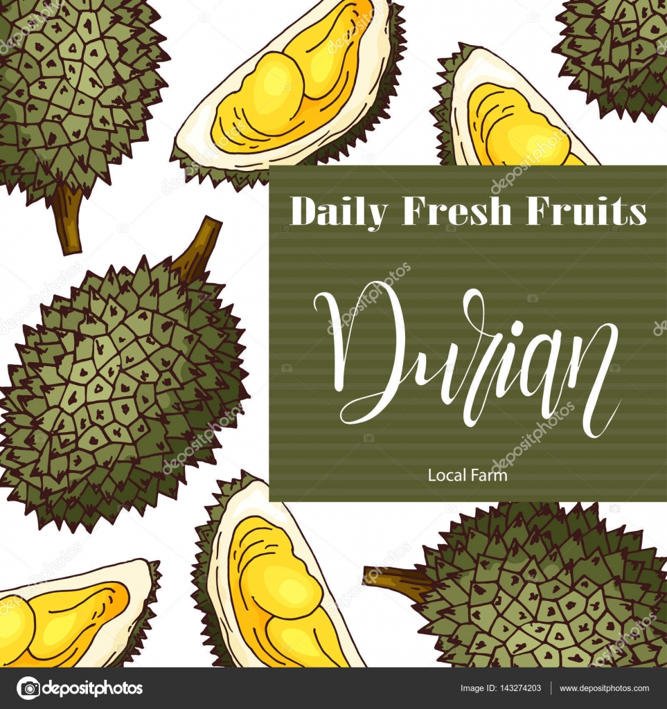 Durian Drawing
