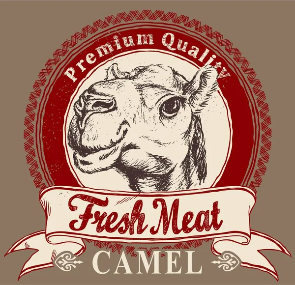 Camel engraving Vector Art Stock Images | Depositphotos