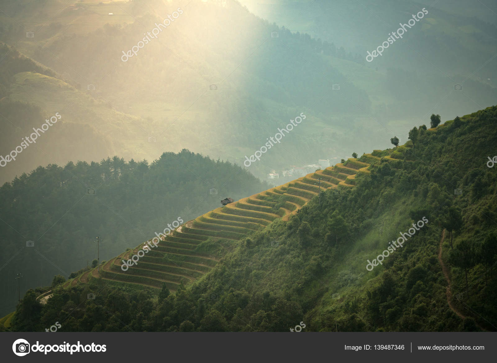 Rice terraces on the mountain Stock Photo by ©djmdep 139487346