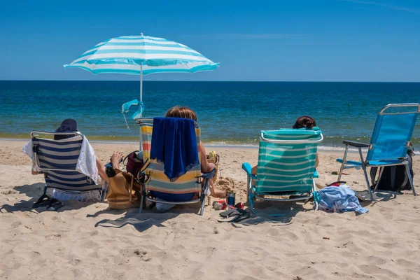 Tavia Stock Photos, Royalty Free Tavia Images | Depositphotos